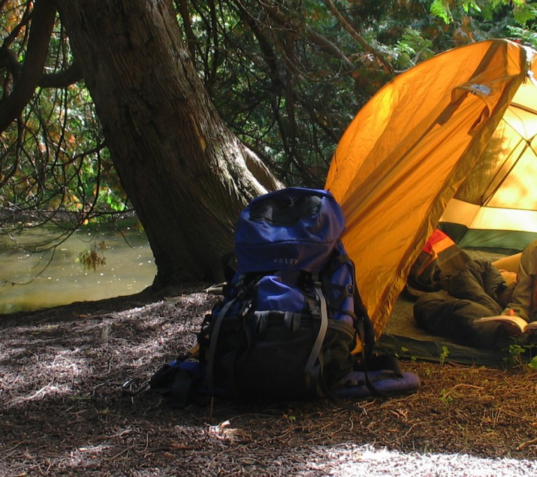 Home Page - Toronto and Region Conservation Authority (TRCA)