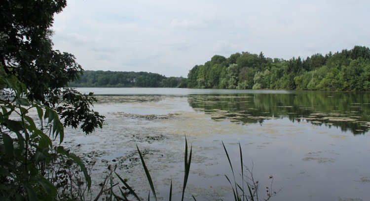 Heart Lake Conservation Area - Toronto and Region Conservation ...
