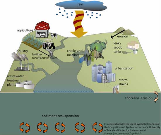 Nutrient Sources - Toronto and Region Conservation Authority (TRCA)