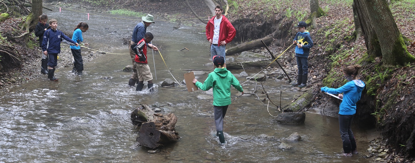 Stream Study - Toronto and Region Conservation Authority (TRCA)