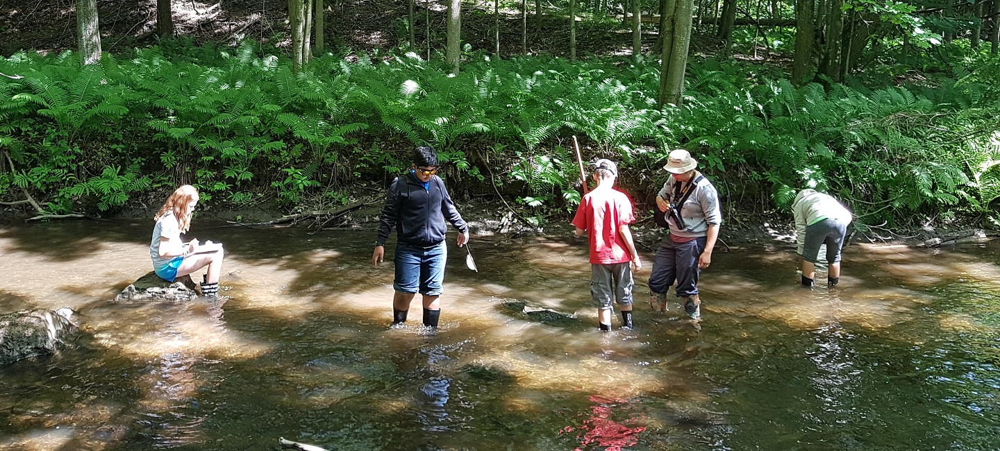 Stream Study - Toronto and Region Conservation Authority (TRCA)