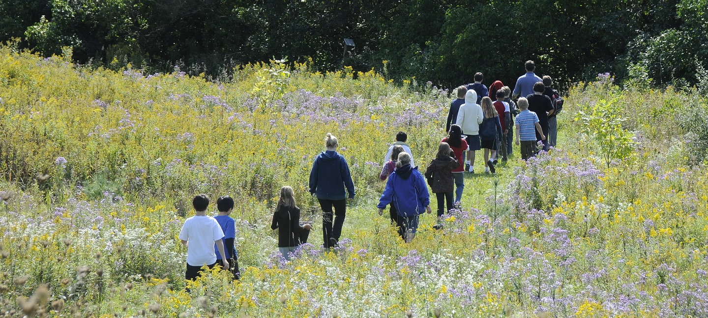 Nature Hike - Toronto and Region Conservation Authority (TRCA)
