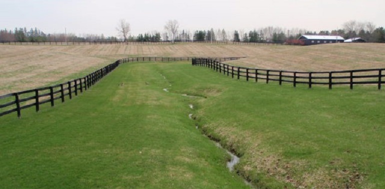 Headwater Drainage Features - Toronto and Region Conservation Authority ...