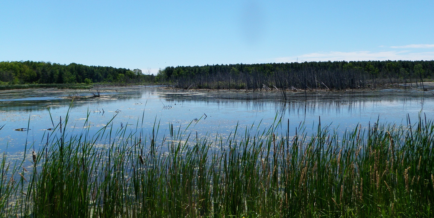 Ecohydrology & Feature-Based Water Balance - Toronto and Region ...