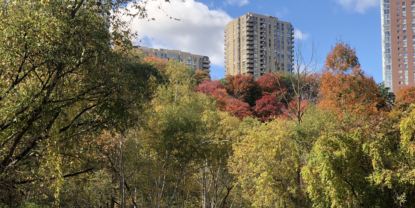Urban Forests and Parks - Toronto and Region Conservation Authority (TRCA)