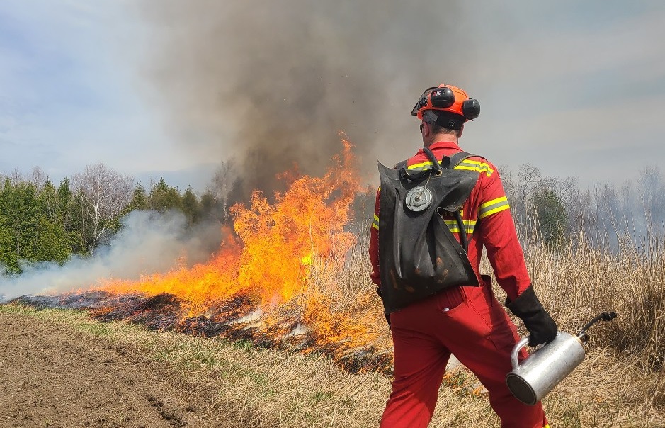 Albion Hills Prescribed Burn - Toronto and Region Conservation ...