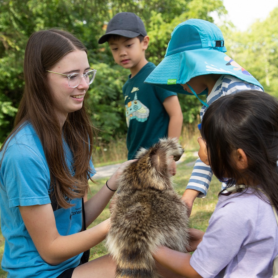 Summer Camps at Bruce's Mill - Whitchurch-Stouffville - Toronto and ...